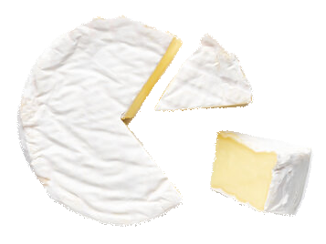 Busy Bee Events | Catering & Styling for your event